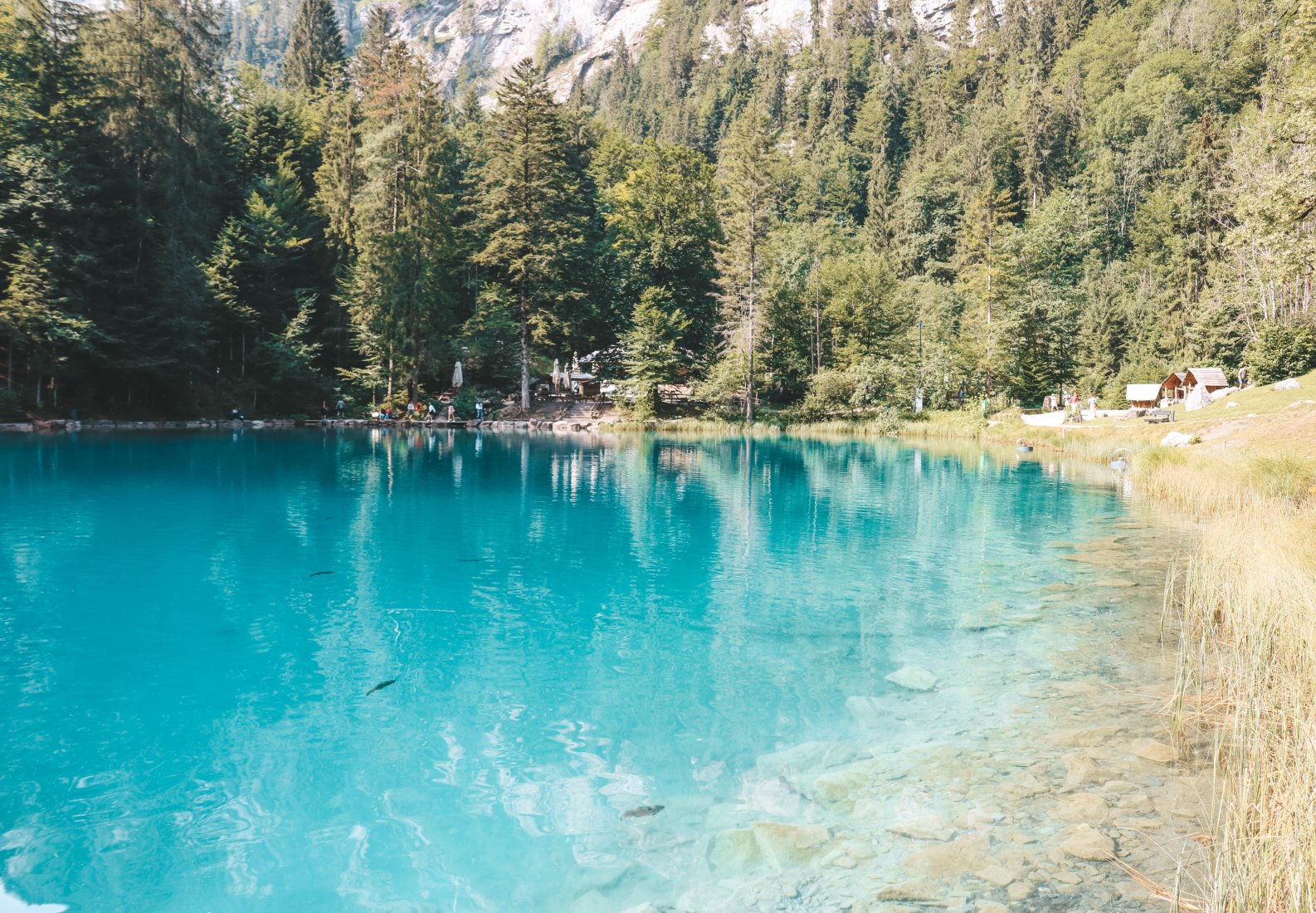 Visite du Lac de Blausee