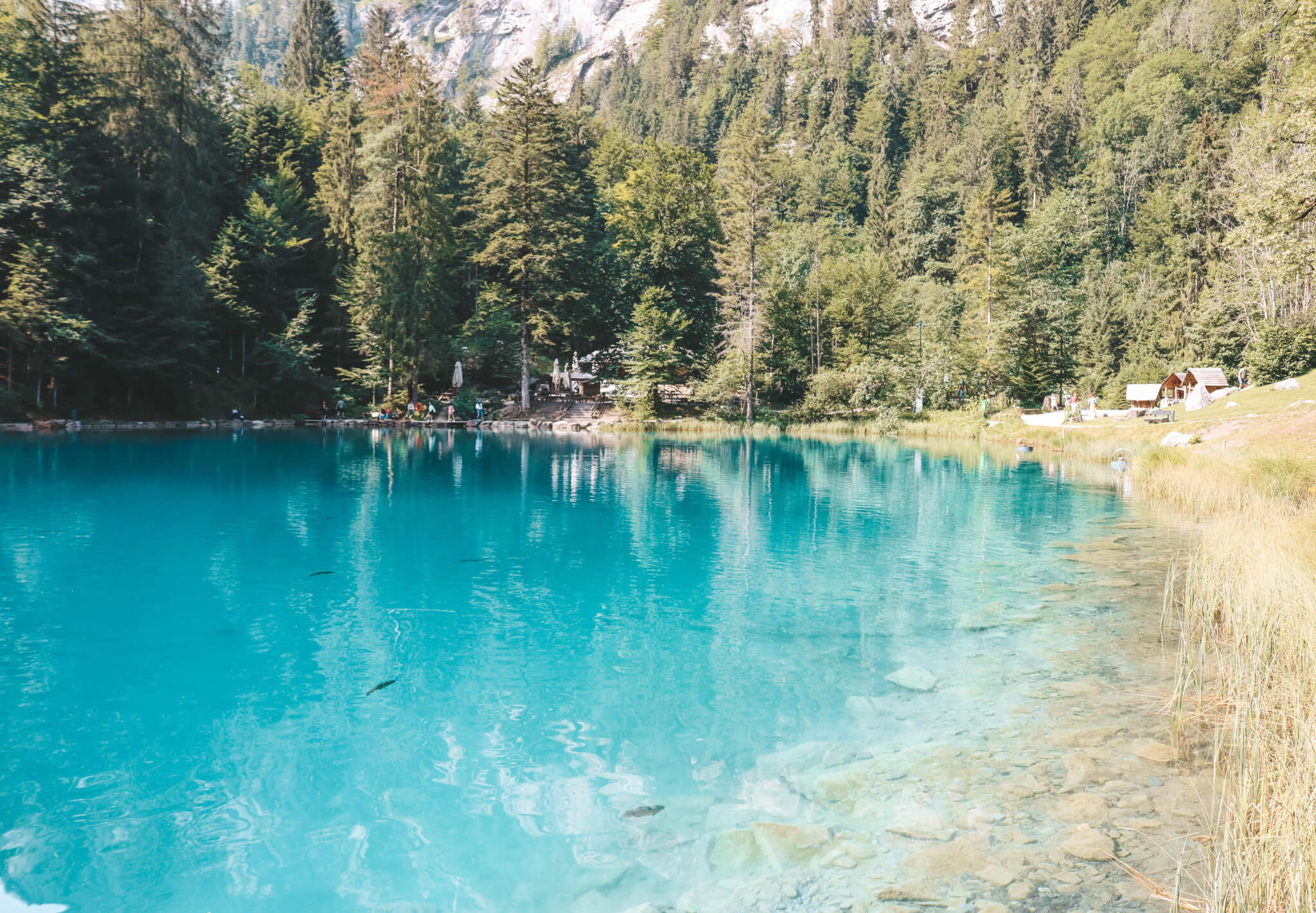 Visite du Lac de Blausee en Suisse - Toutes les Infos Pratiques