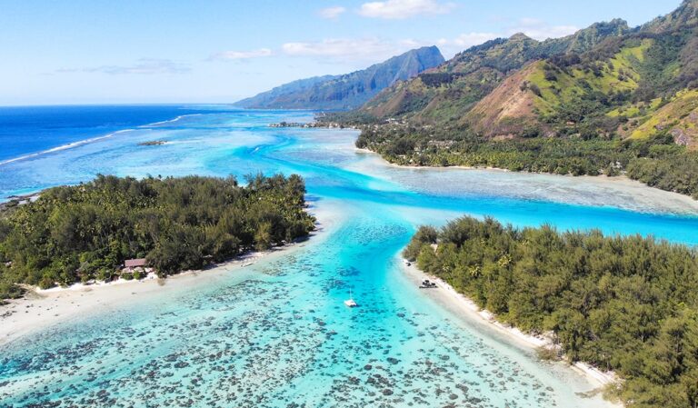 Que faire à Moorea ? Les incontournables à ne pas manquer